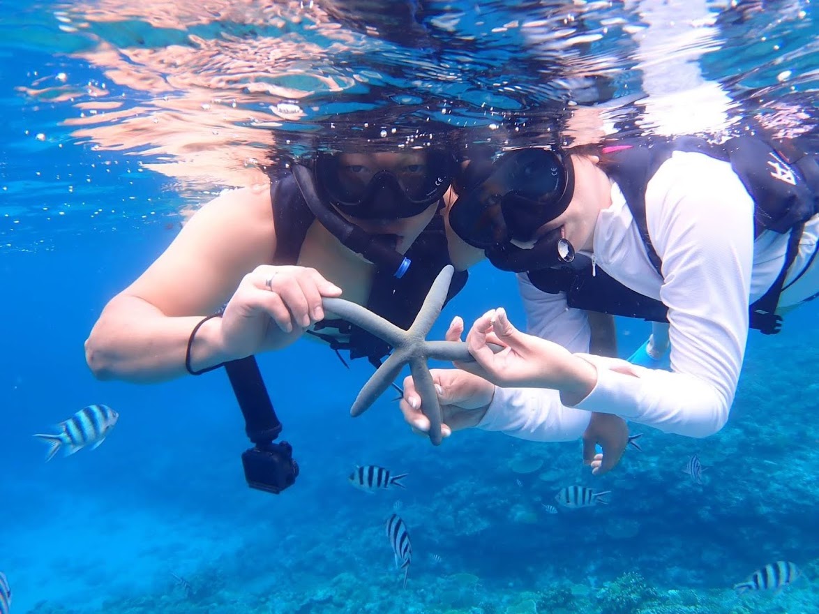 シュノーケリング＋ホエールウォッチングツアー【那覇発着】 - Okinawa Hip Hop Bus