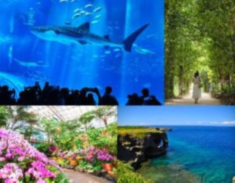 HOME - Okinawa Hip Hop Bus