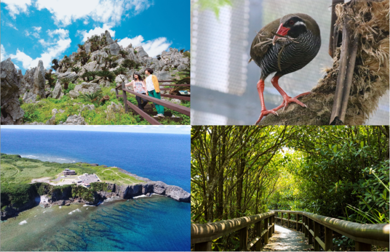 沖縄日帰りバスツアー 【観光スポットを巡るバスツアー】| Okinawa Hip Hop Bus