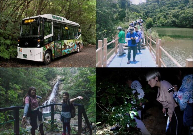 沖縄日帰りバスツアー 【観光スポットを巡るバスツアー】| Okinawa Hip Hop Bus