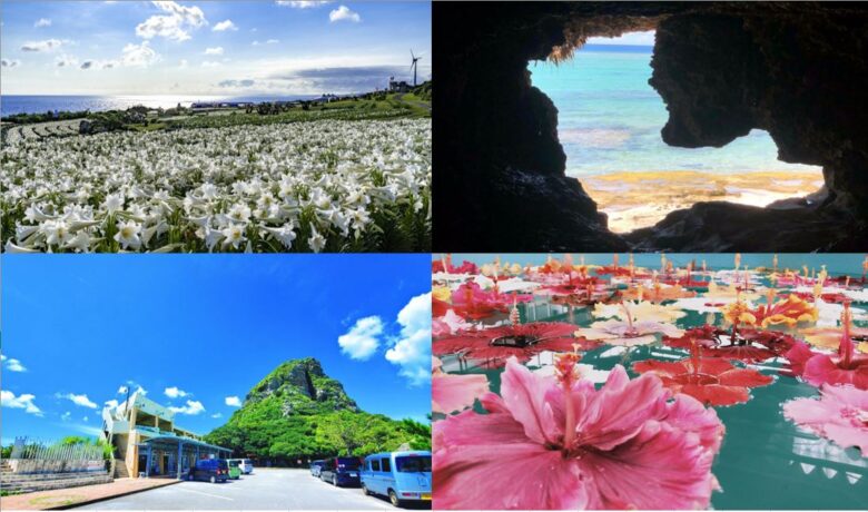 沖縄日帰りバスツアー 【観光スポットを巡るバスツアー】| Okinawa Hip Hop Bus